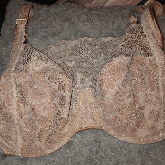 Modern Movement | Intimates & Sleepwear | Modern Movement Cami Bra Size ...